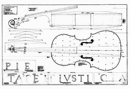 Technical Drawing: Violoncello ("The King") by Andrea Amati, ca. 1550 ...